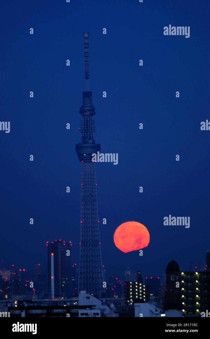 Full moon view of Tokyo sky tree Stock Photo - Alamy