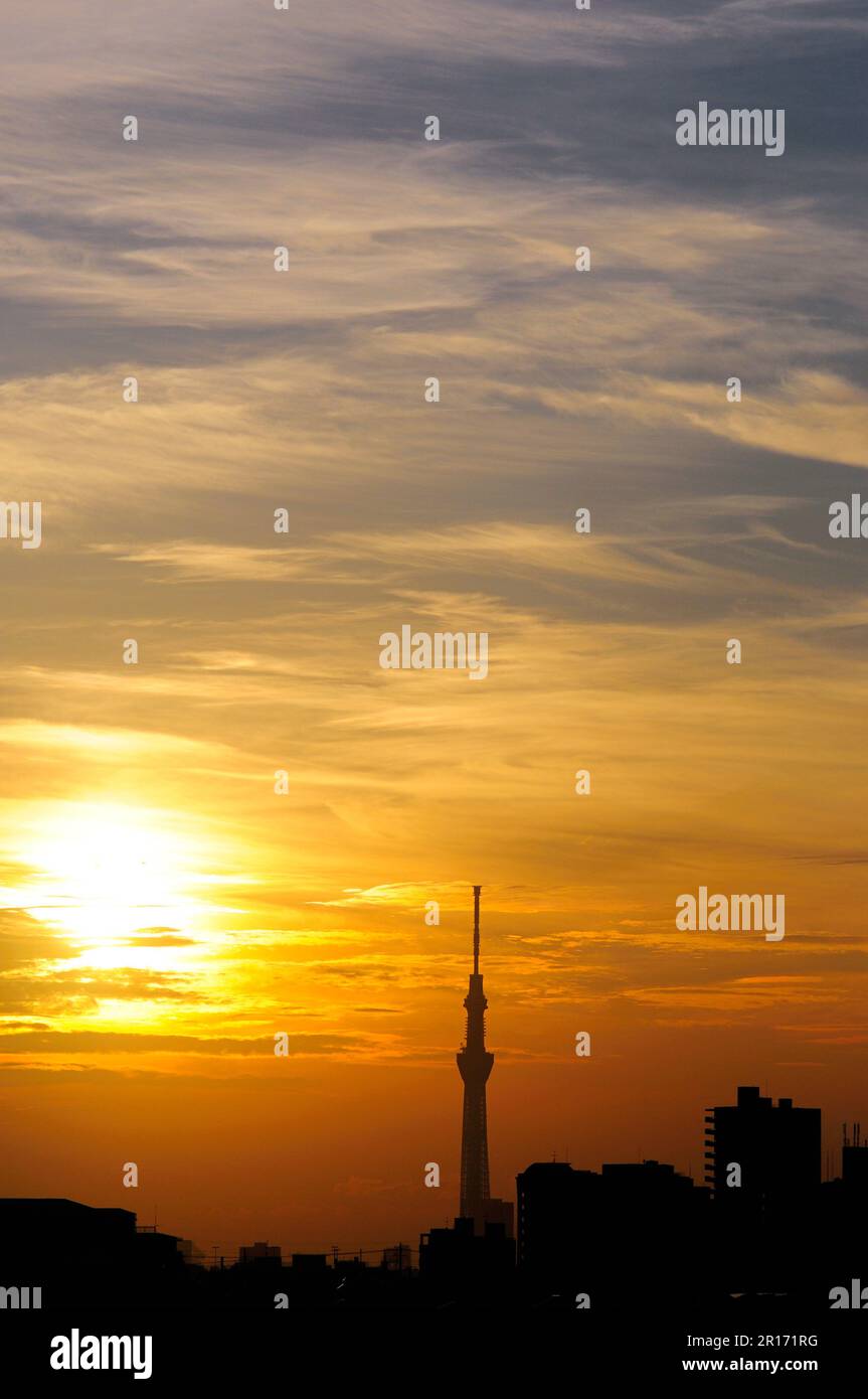 Sunset and Tokyo sky tree Stock Photo - Alamy