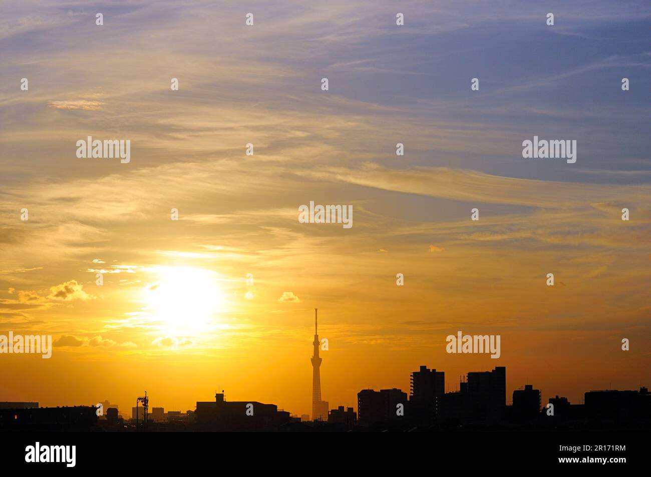 Sunset and Tokyo sky tree Stock Photo - Alamy