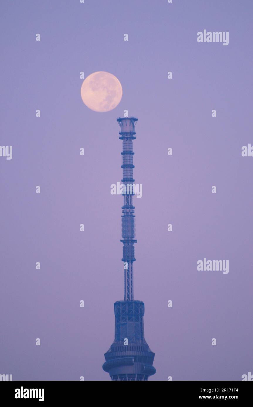 Full moon view tokyo hi-res stock photography and images - Alamy