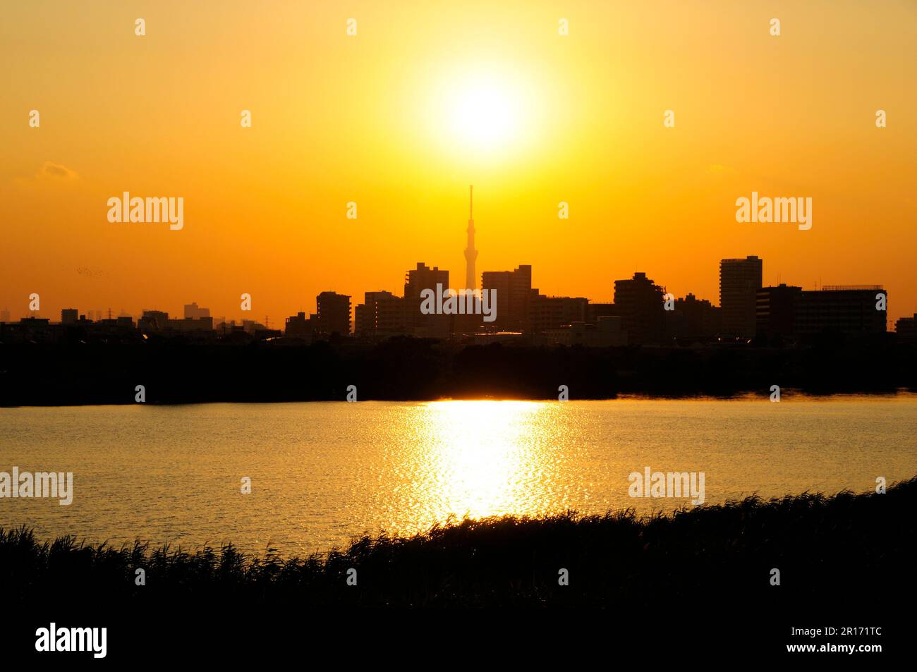 Sunset and Tokyo sky tree Stock Photo - Alamy