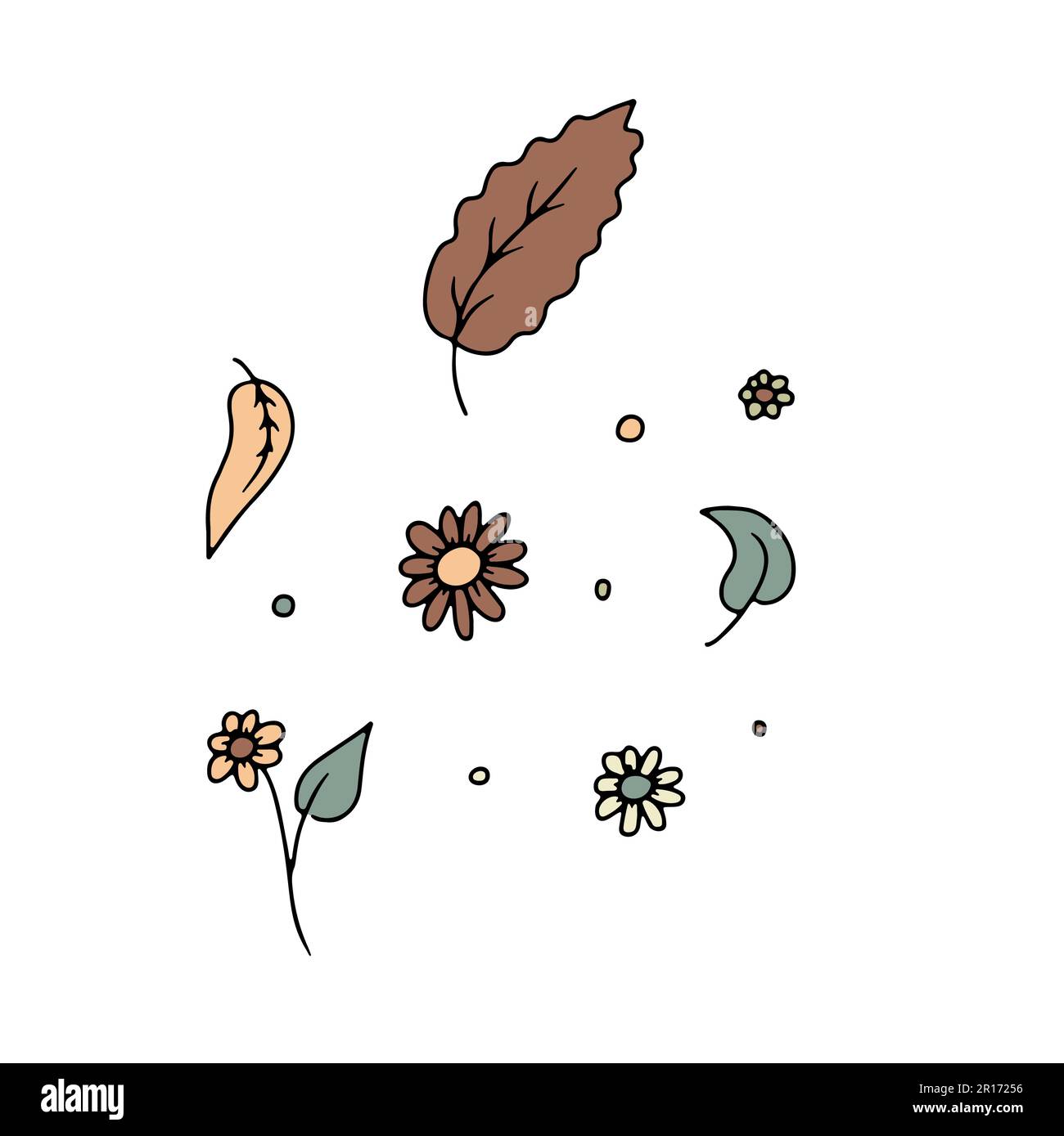 Hand drawn wild flowers illustrations set isolated on white background ...