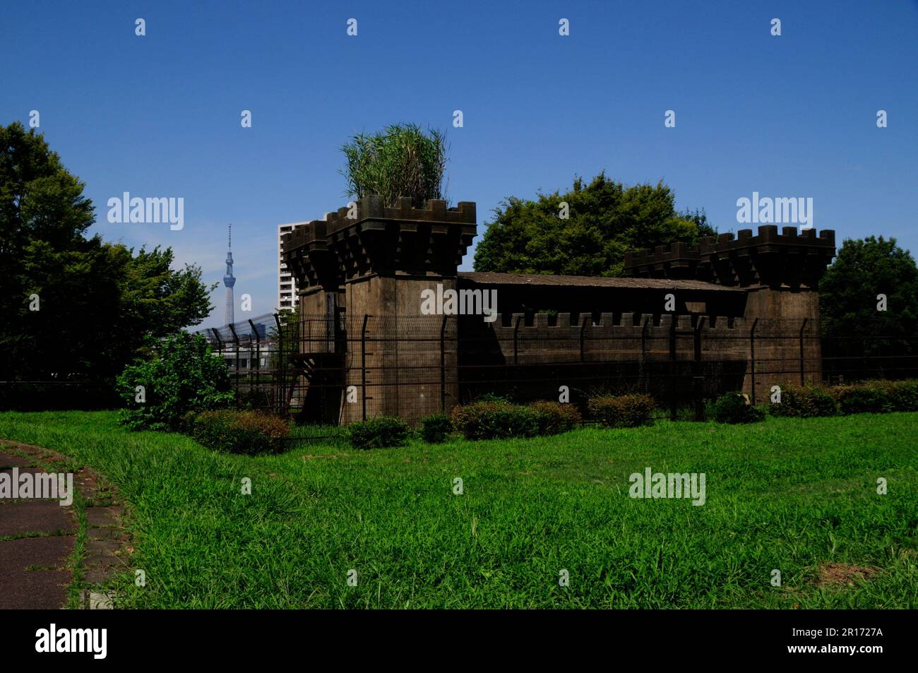 Distant view of Tokyo sky tree from Oshima Komatsugawa Park Stock Photo ...