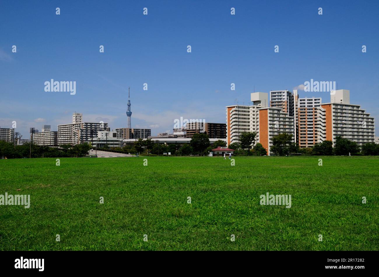 Oshima komatsugawa park and Tokyo sky tree Stock Photo - Alamy
