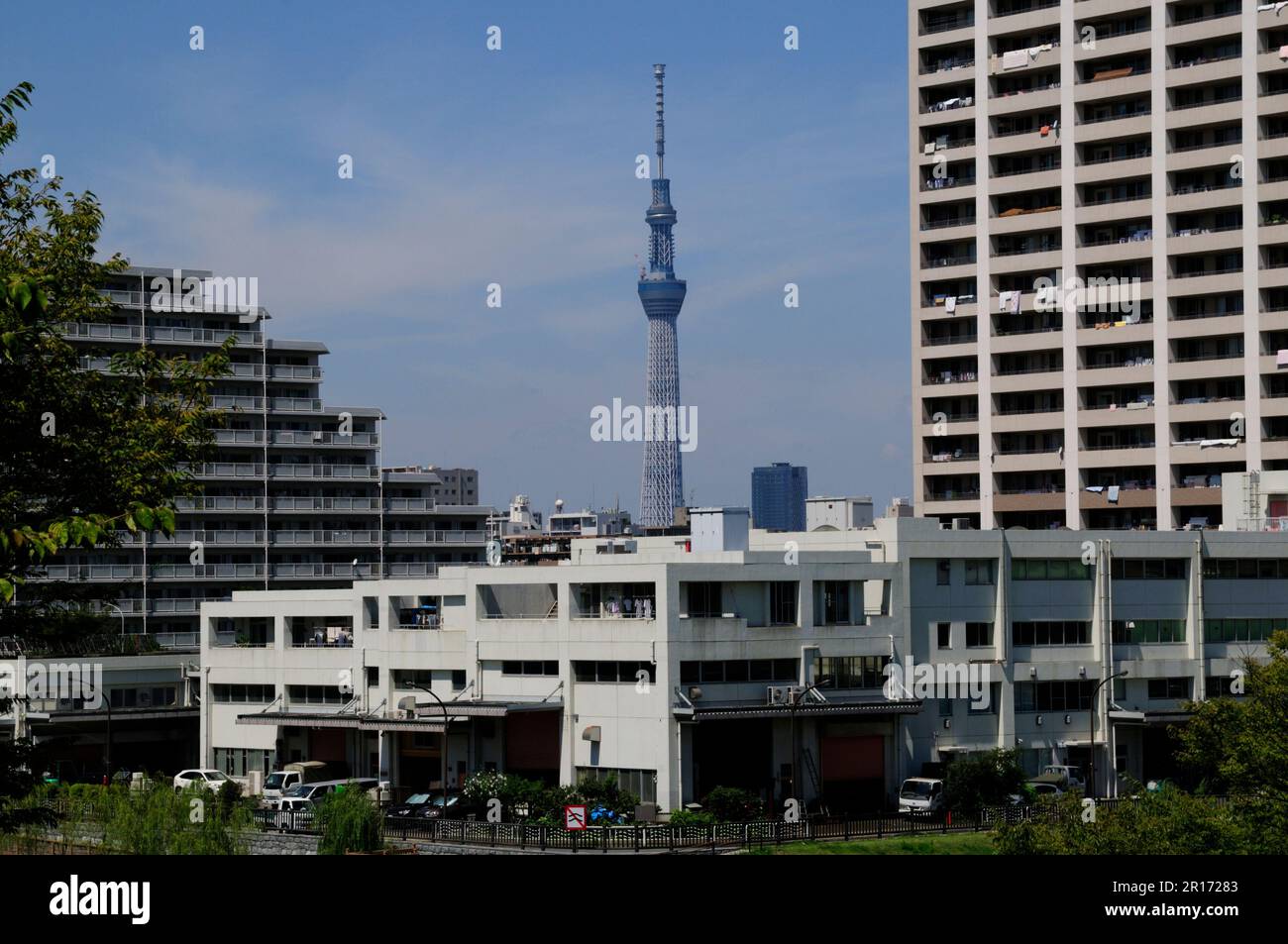 Distant view of Tokyo sky tree from Oshima Komatsugawa Park Stock Photo ...