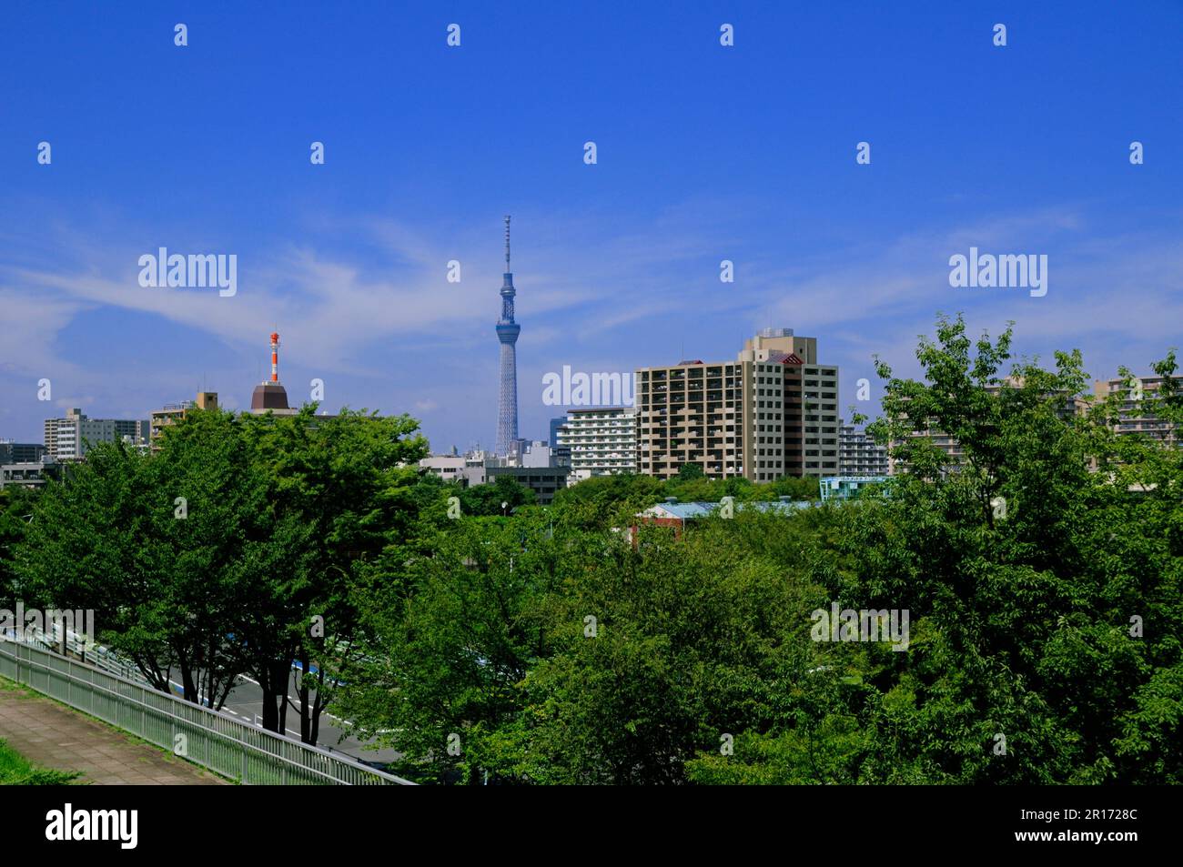 Distant view of Tokyo sky tree from Oshima Komatsugawa Park Stock Photo ...
