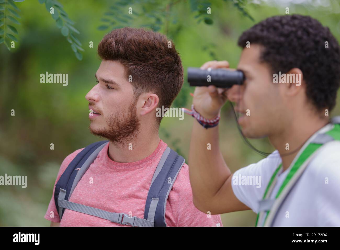 young men with binocular in the forest observing animals Stock Photo ...