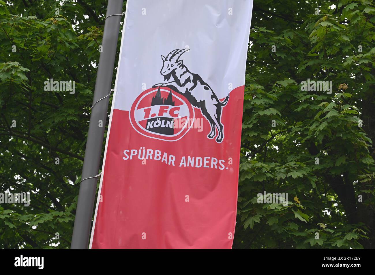 Cologne, Germany. 11th May, 2023. A flag in red and white with the logo ...