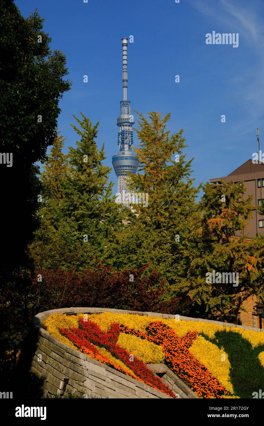 Yokozuna cho park hi-res stock photography and images - Alamy