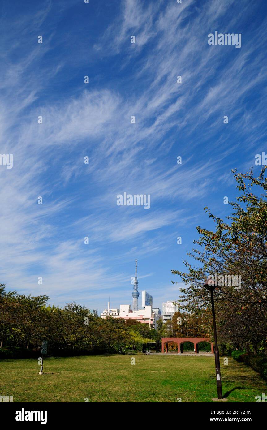 Sarue park hi-res stock photography and images - Alamy