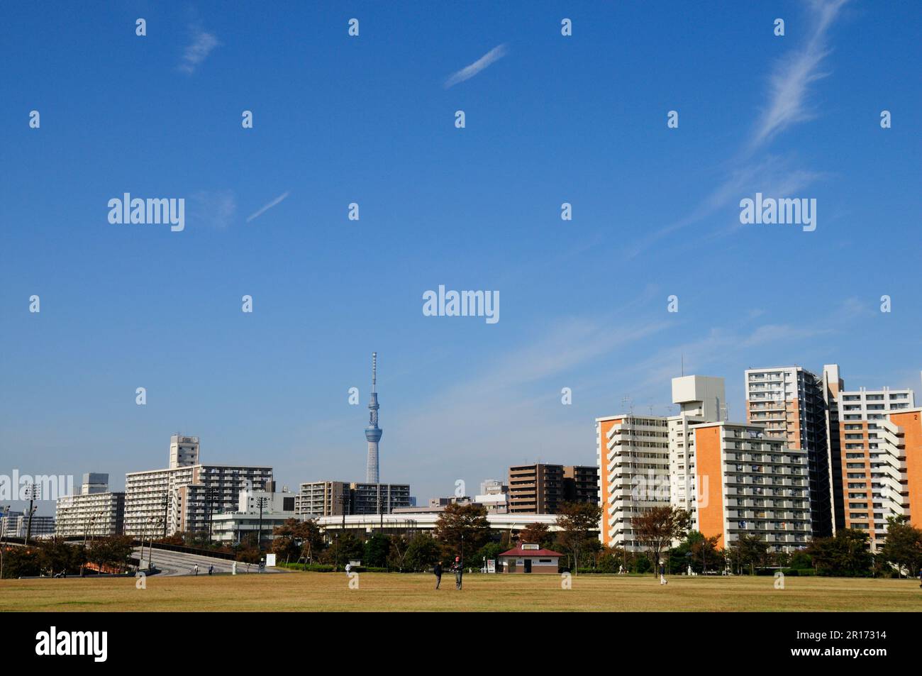 Oshima komatsugawa park and Tokyo sky tree Stock Photo - Alamy