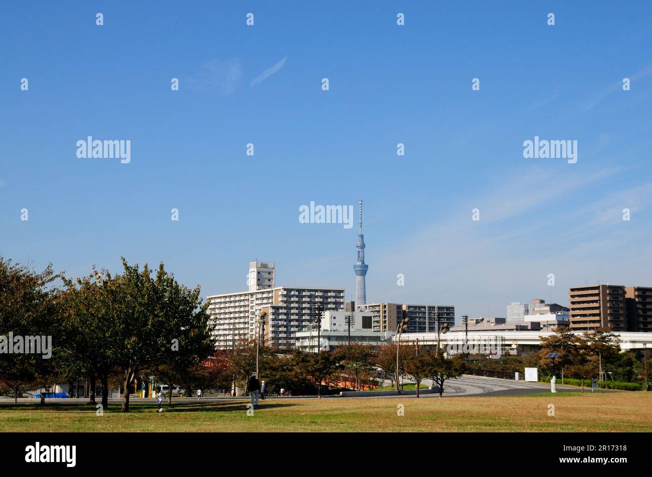 Oshima komatsugawa park and Tokyo sky tree Stock Photo - Alamy