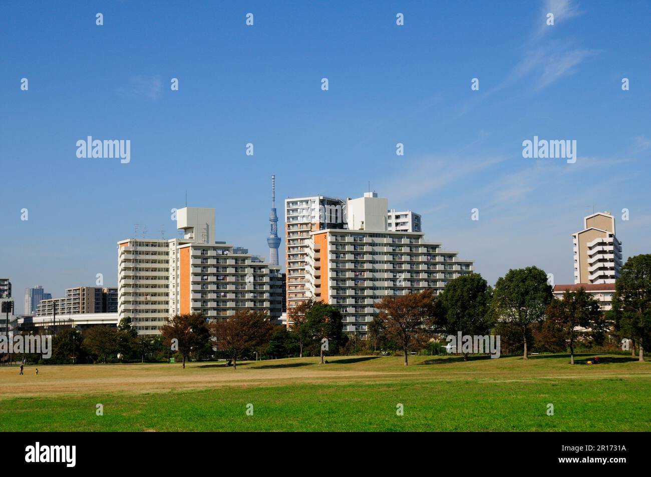 Oshima komatsugawa park and Tokyo sky tree Stock Photo - Alamy