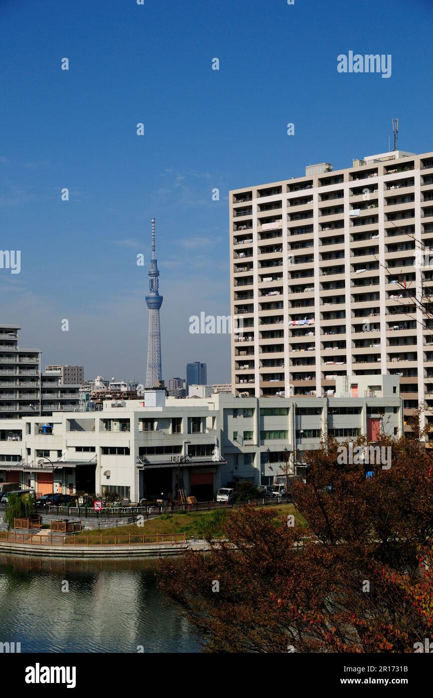 Oshima komatsugawa park and Tokyo sky tree Stock Photo - Alamy