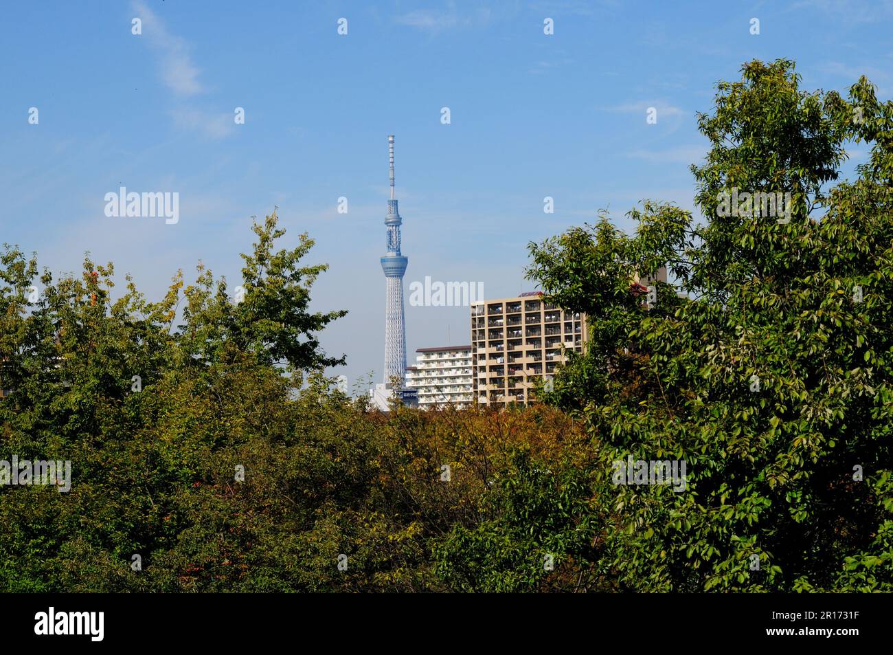 Oshima komatsugawa park and Tokyo sky tree Stock Photo - Alamy