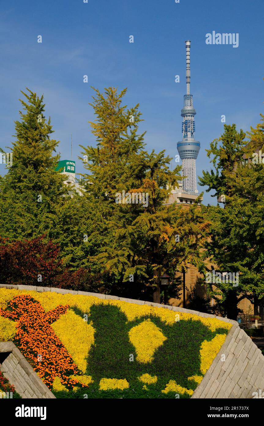 Tokyo sky tree and Yokozuna town park Stock Photo - Alamy