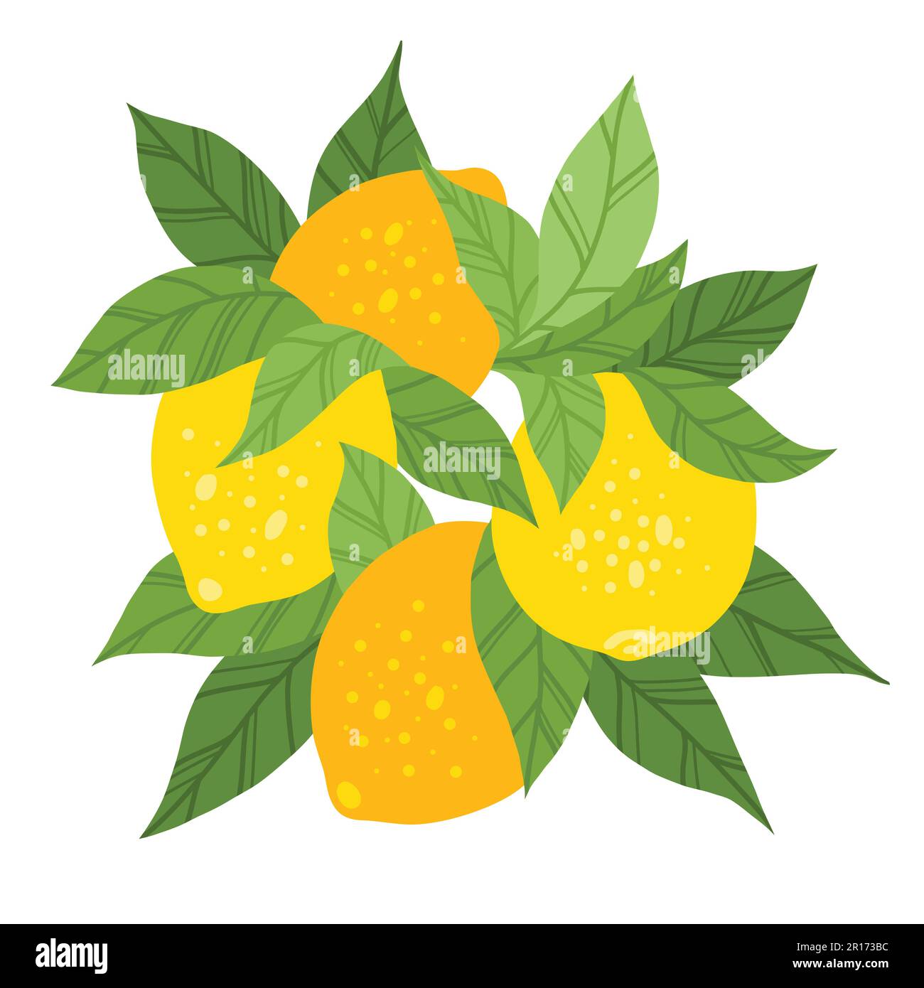 Vector illustration of bunch of lemons with foliage. Hand drawn flat ...