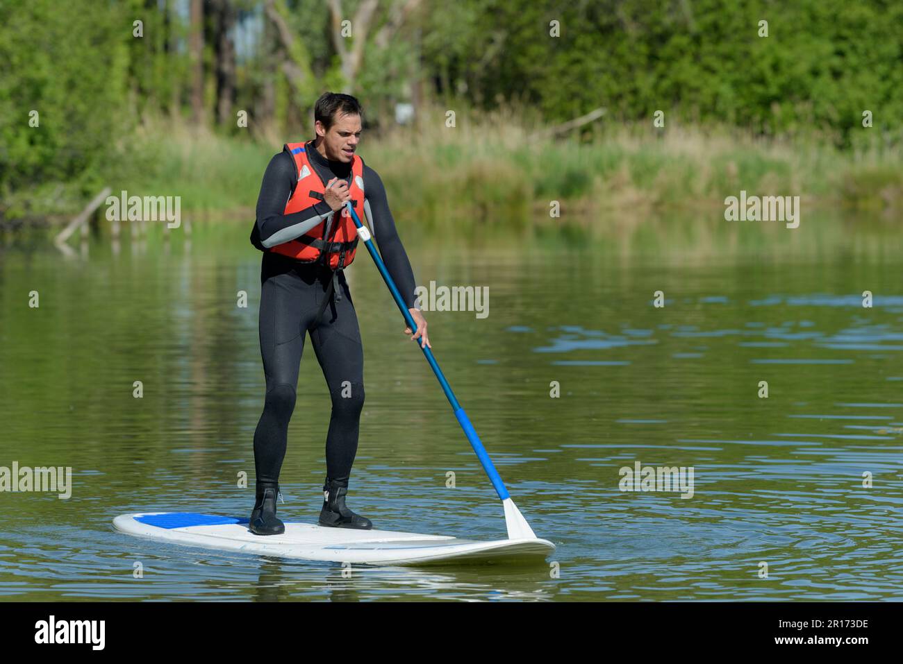 man standing on paddleboard in water Stock Photo - Alamy