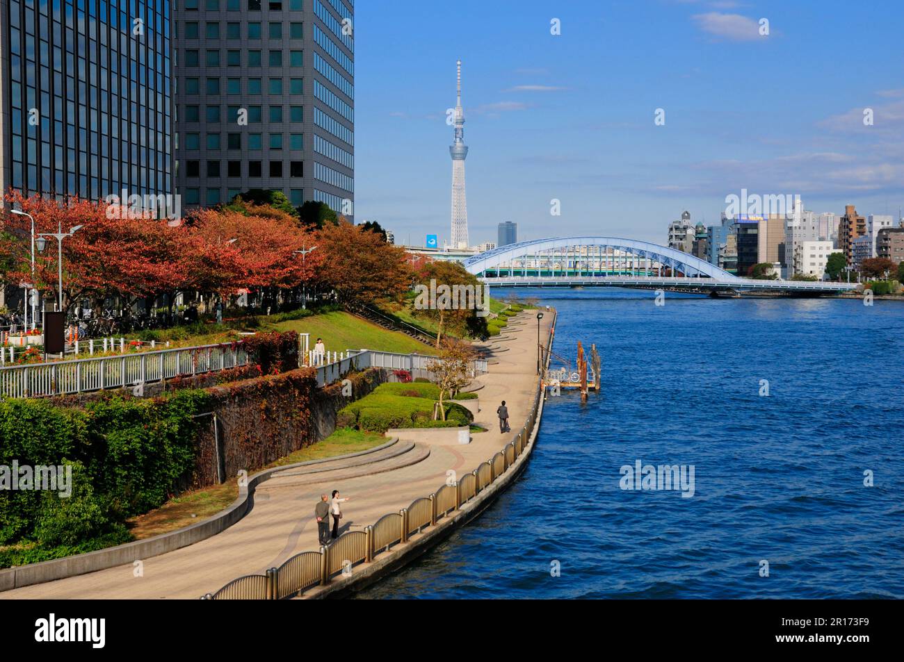 Tokyo sky tree and Sumida river terrace Stock Photo - Alamy