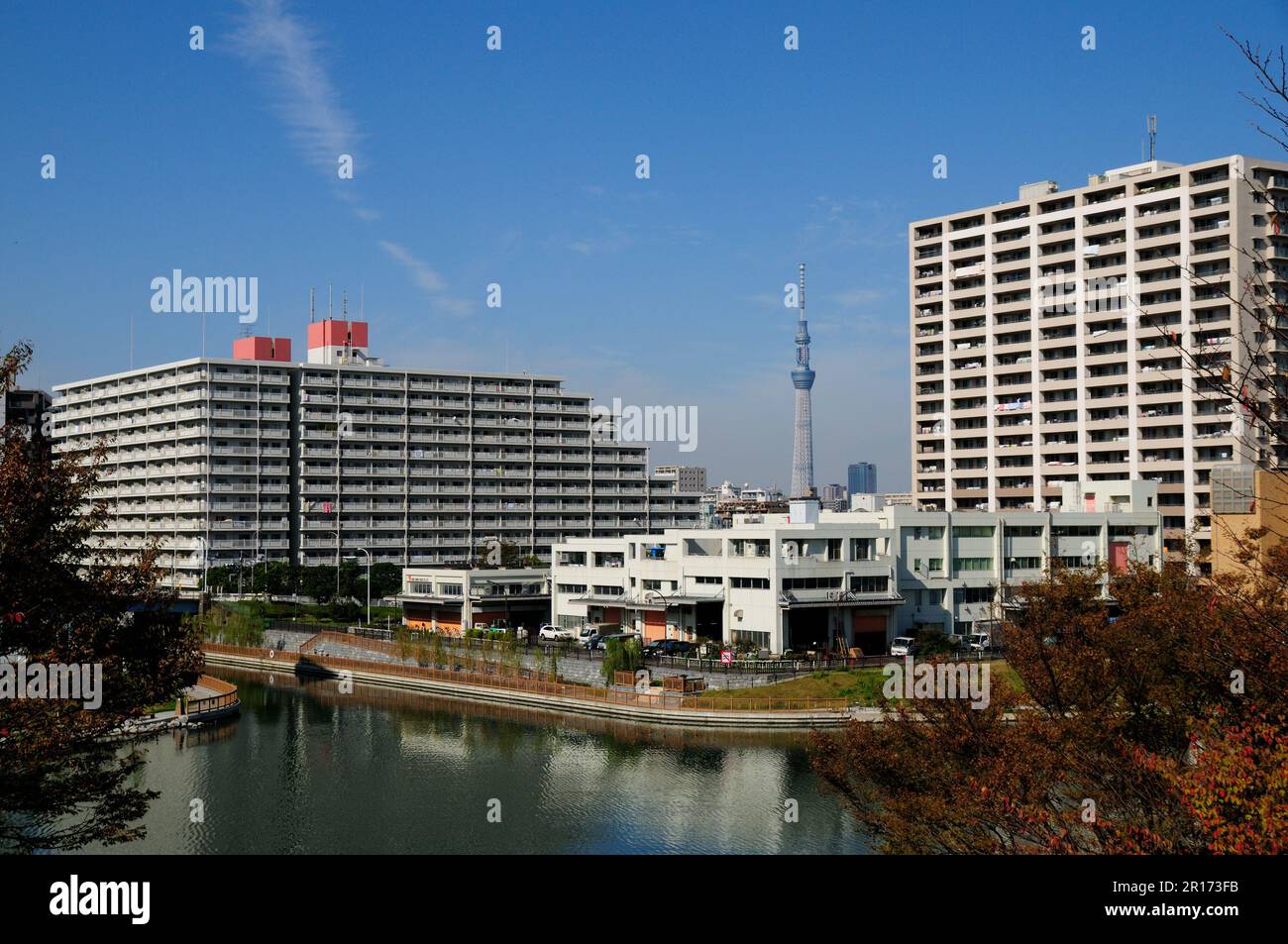 Oshima komatsugawa park and Tokyo sky tree Stock Photo - Alamy
