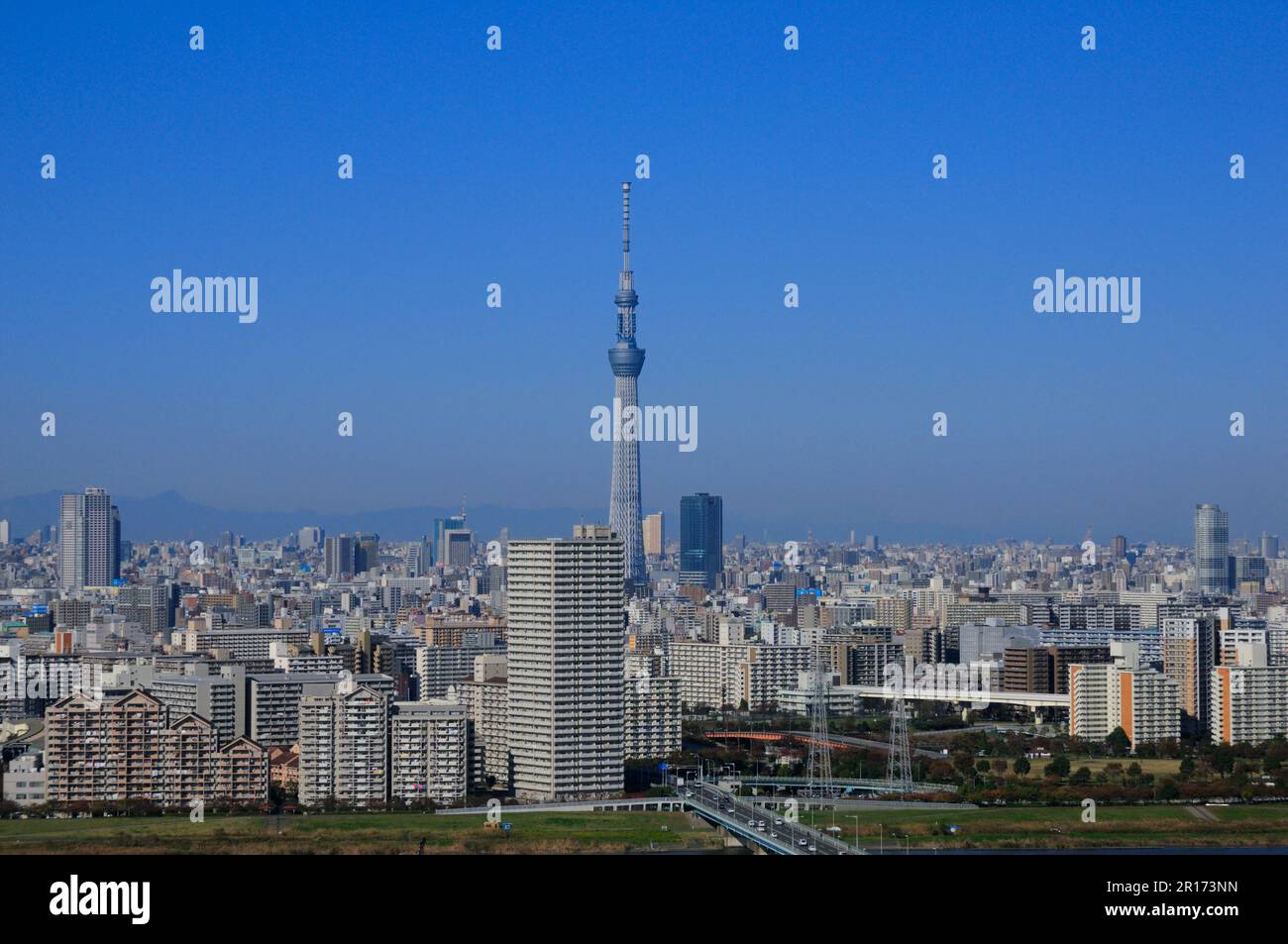 View of Tokyo sky tree from Tower Hall funabori Stock Photo - Alamy