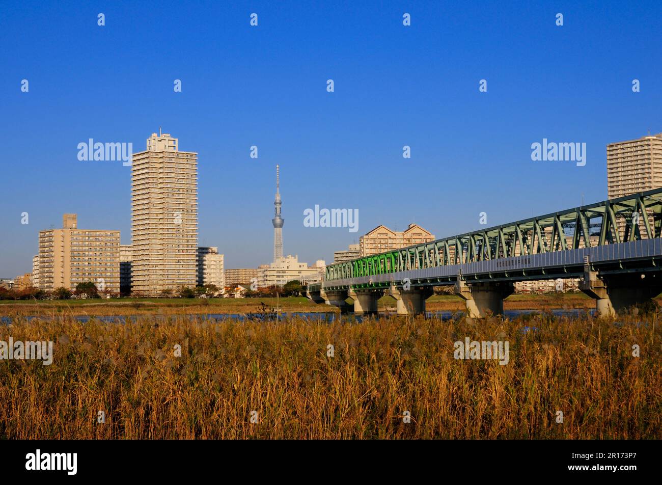 Arakawa river and Tokyo sky tree Stock Photo - Alamy