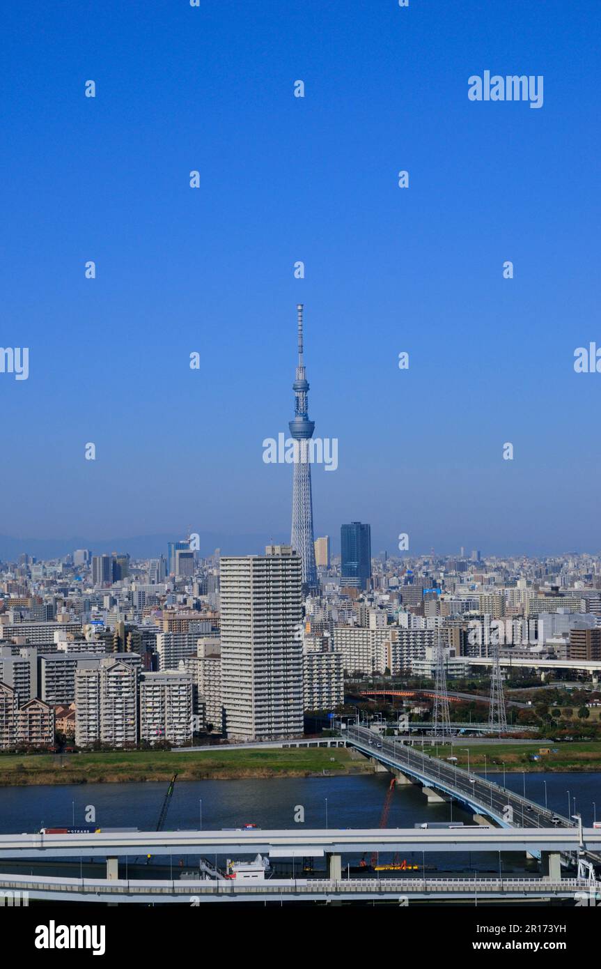 View of Tokyo sky tree from Tower Hall funabori Stock Photo - Alamy