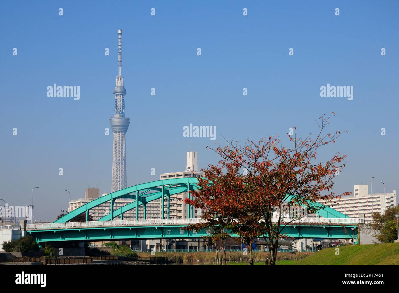 New Koto bridge and Tokyo sky tree Stock Photo - Alamy