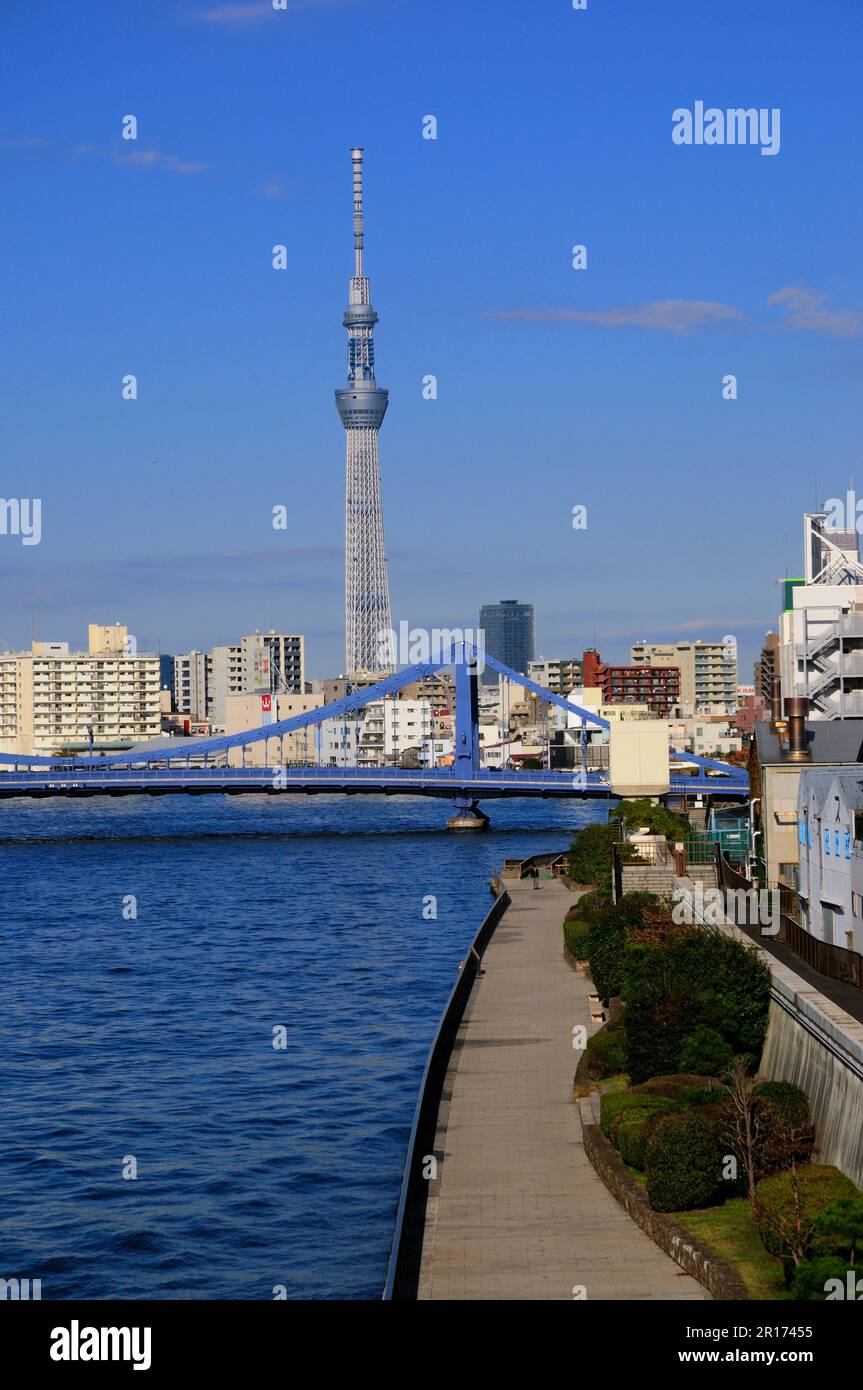 Tokyo sky tree and Sumida river terrace Stock Photo - Alamy