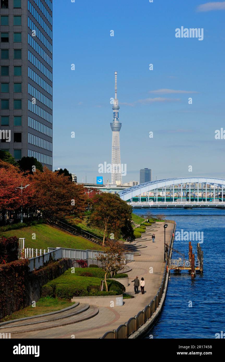 Tokyo sky tree and Sumida river terrace Stock Photo - Alamy