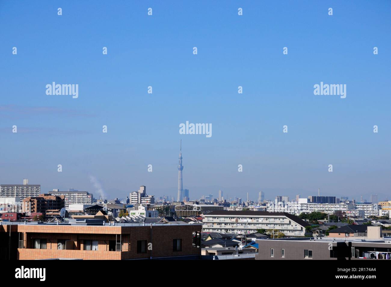 Distant view of Tokyo sky tree from Myoden Stock Photo - Alamy