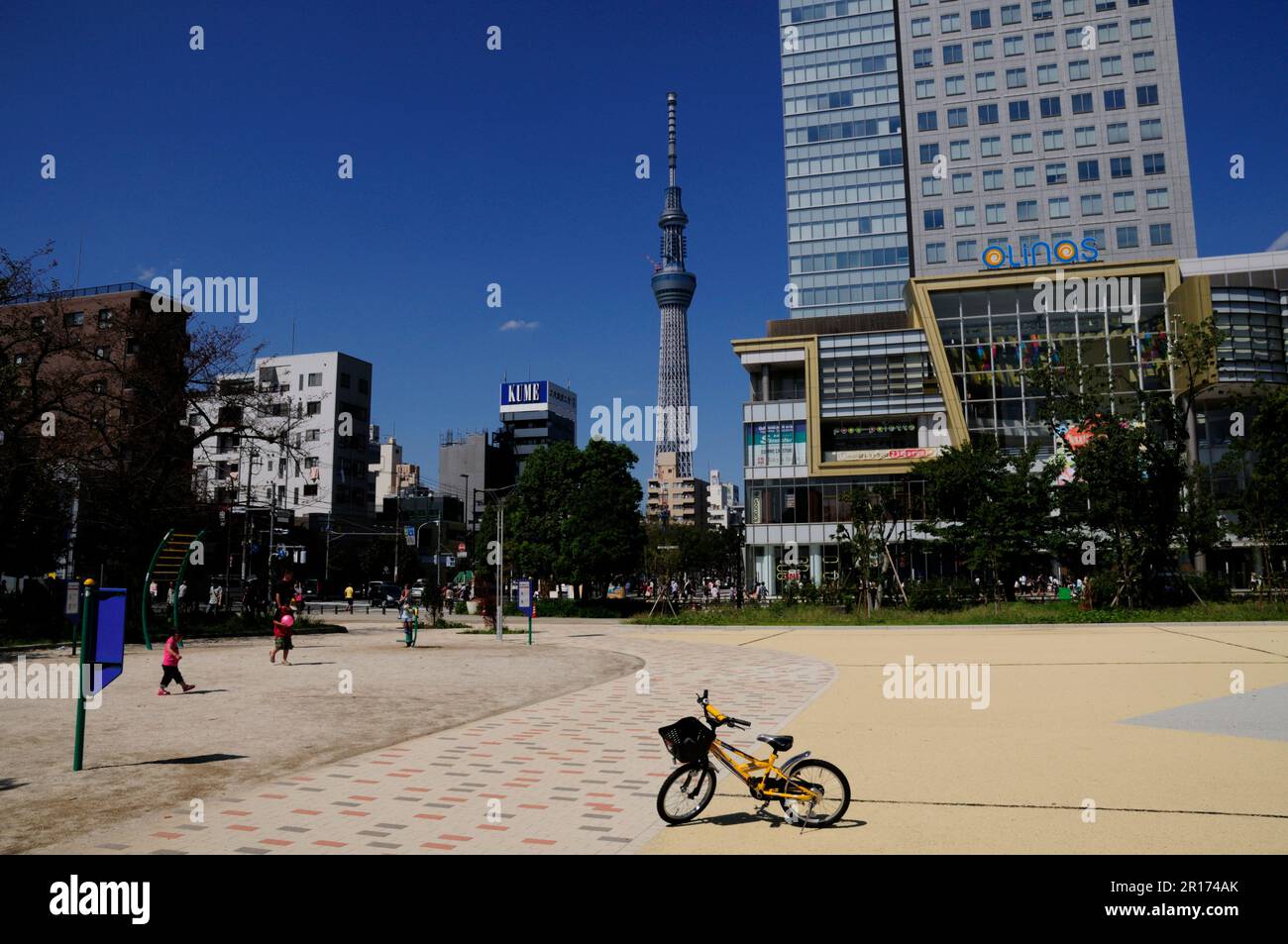The Kinshi Park and the Tokyo sky tree Stock Photo - Alamy