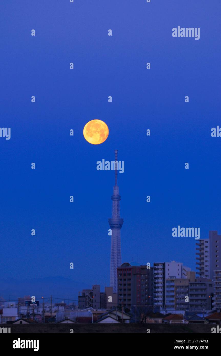 Full moon view of Tokyo sky tree Stock Photo - Alamy