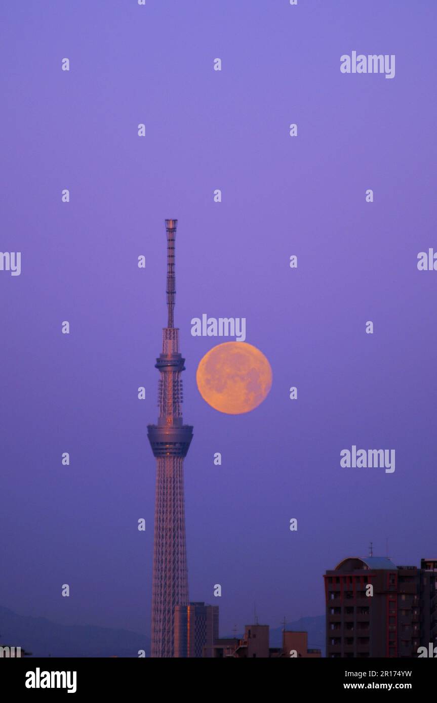 Full moon view of Tokyo sky tree Stock Photo - Alamy