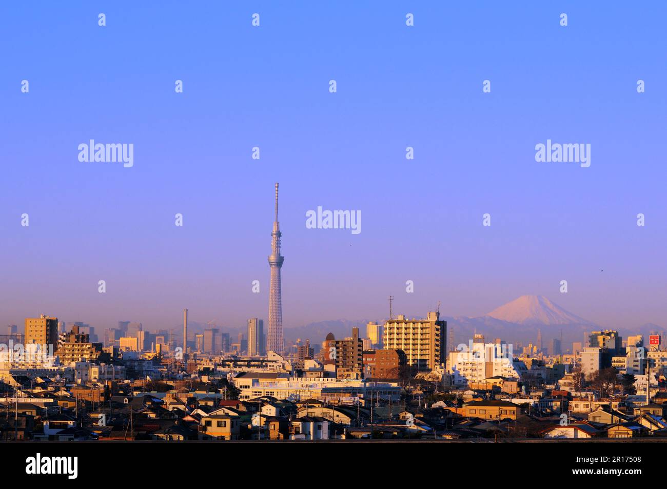 Tokyo Sky Tree in early morning Stock Photo - Alamy