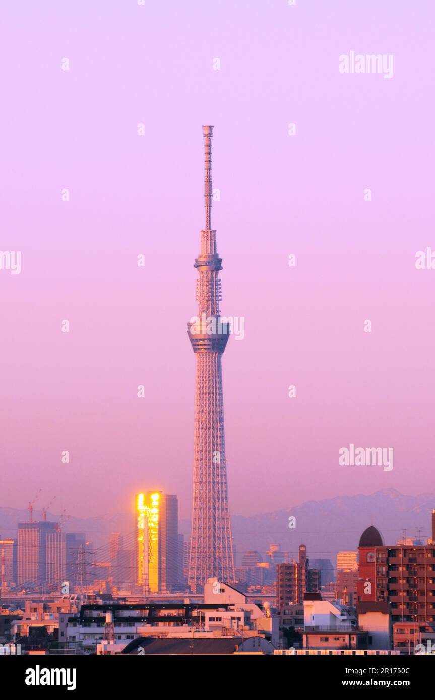 Tokyo Sky Tree in early morning Stock Photo - Alamy