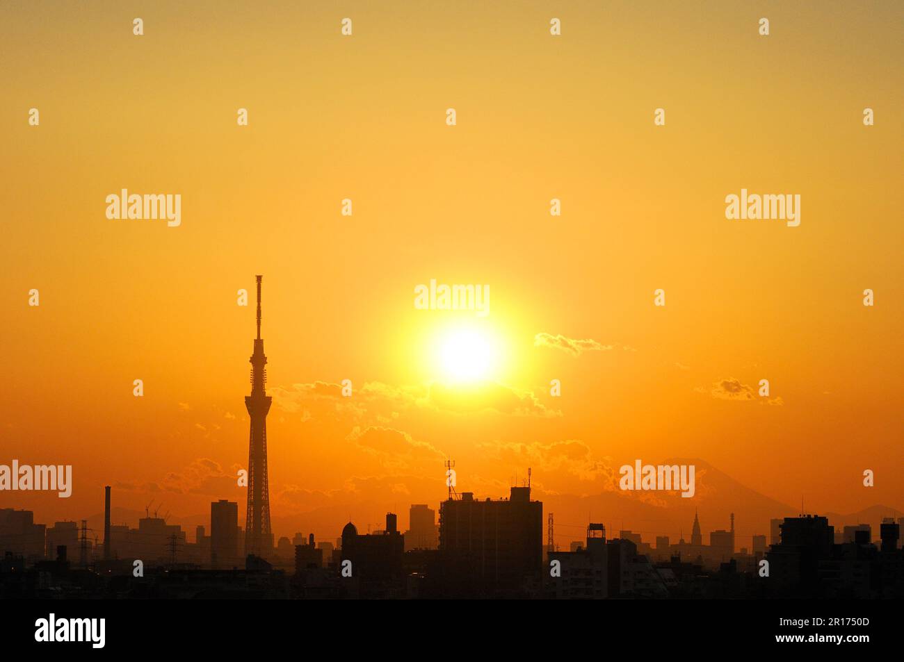Tokyo sky tree and sunset Stock Photo - Alamy