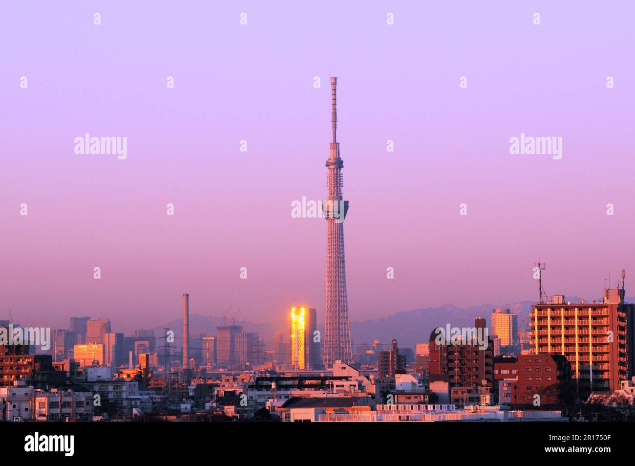 Tokyo Sky Tree in early morning Stock Photo - Alamy