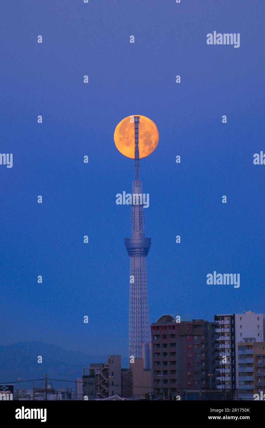 Full moon view of Tokyo sky tree Stock Photo - Alamy