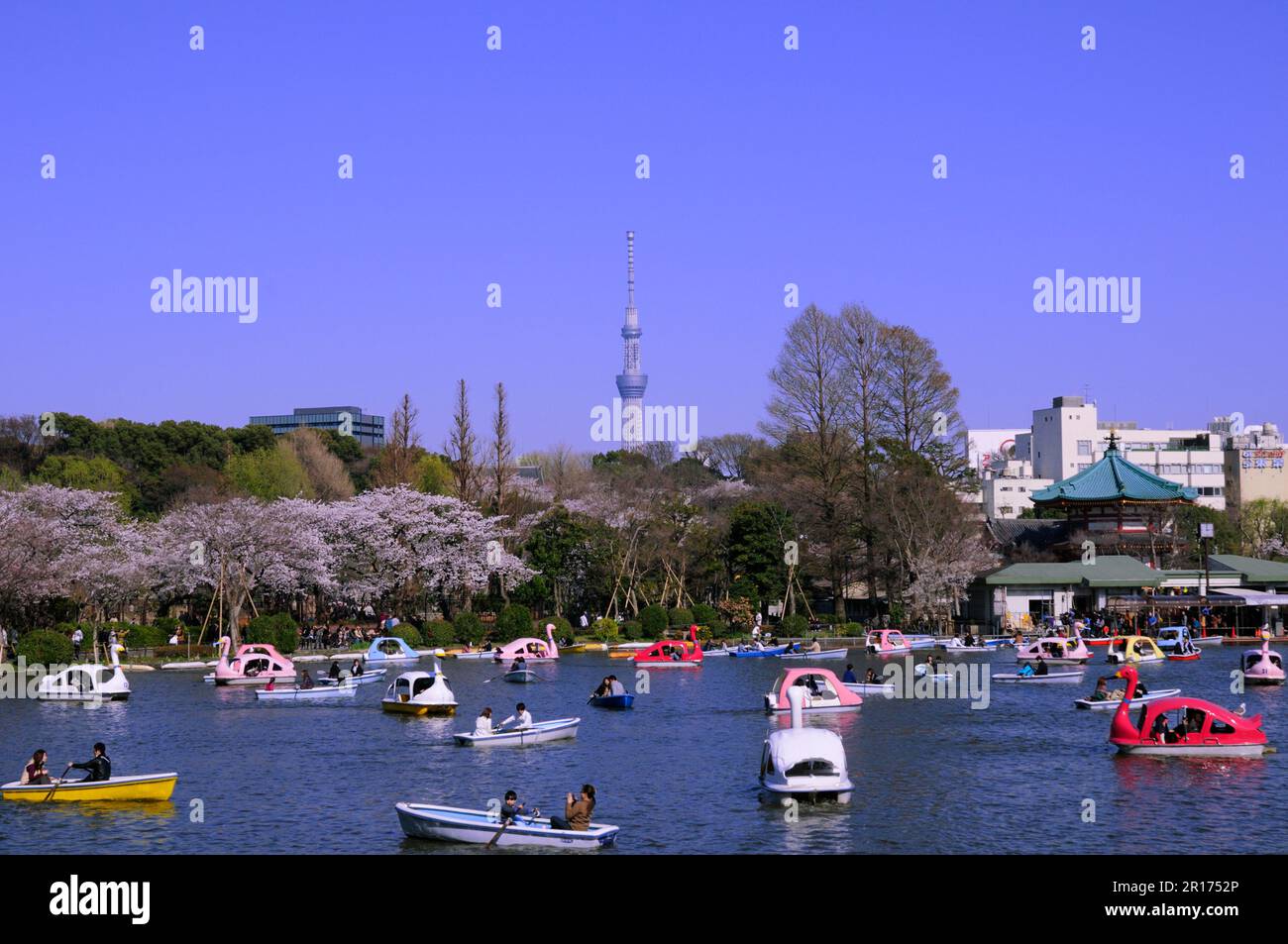 Shinobazu pond tokyo sky hi-res stock photography and images - Alamy
