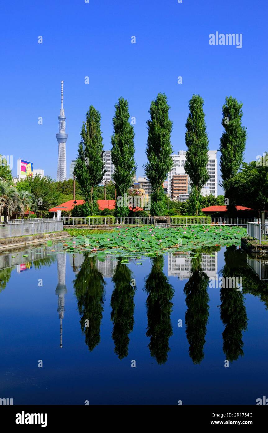 Imperial grove pond hi-res stock photography and images - Alamy