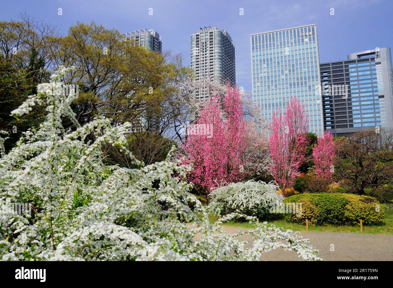 Hama Rikyu Gardens Stock Photo - Alamy