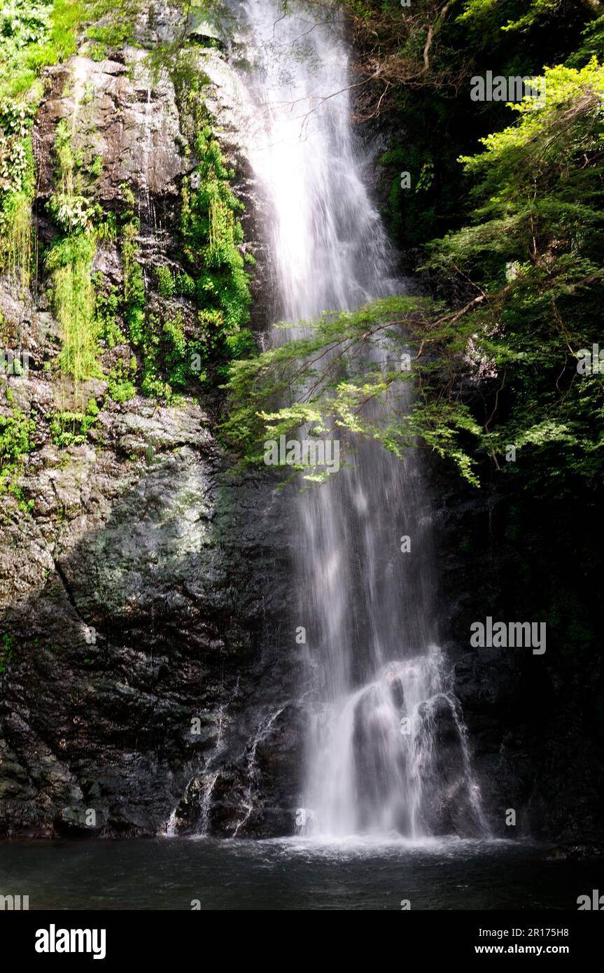 Osaka waterfall hi-res stock photography and images - Alamy