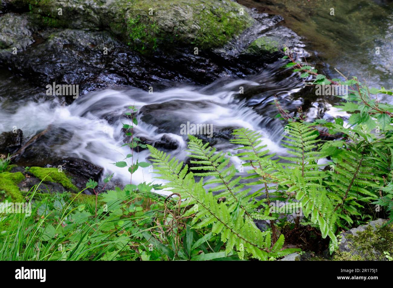 Minoo mountain hi-res stock photography and images - Alamy