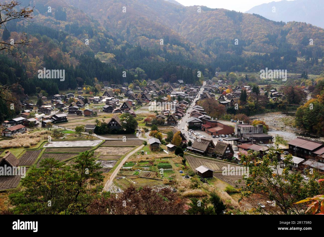 The Shirakawago Gassho village in autumn Stock Photo - Alamy