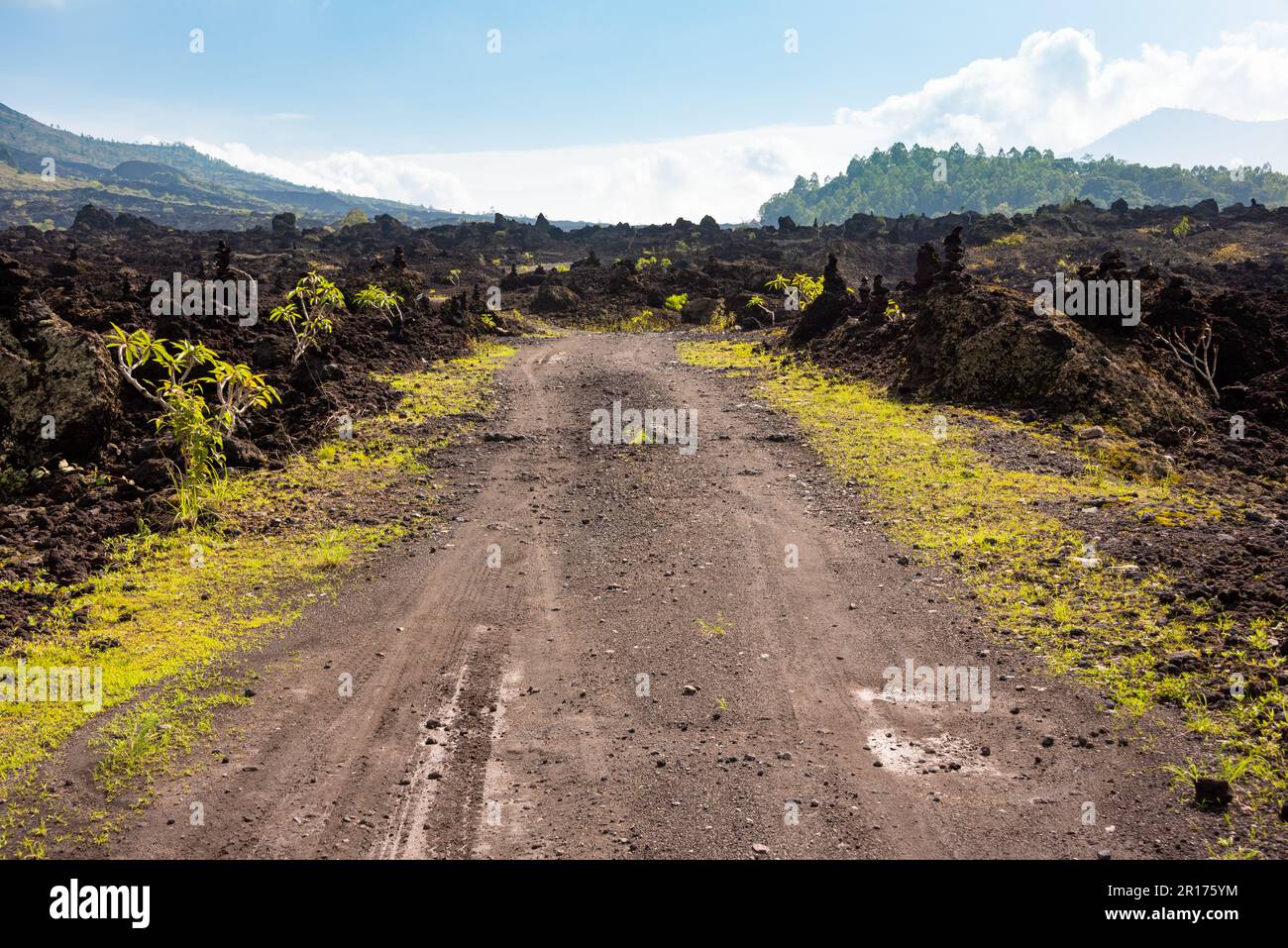 Trip to Batur volcano on Bali, Indonesia. Black lava sand and some ...