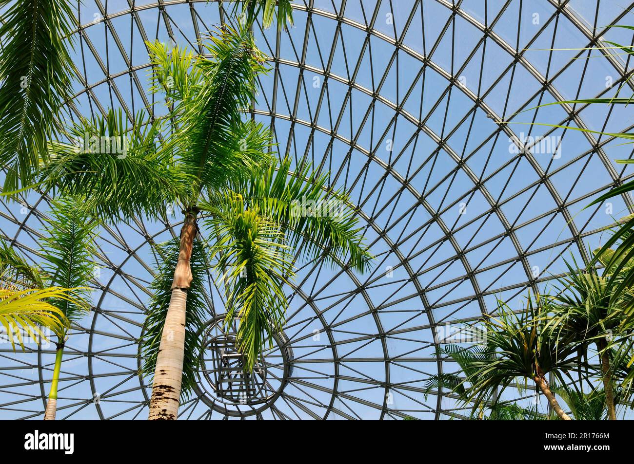 Tottori dome hi-res stock photography and images - Alamy