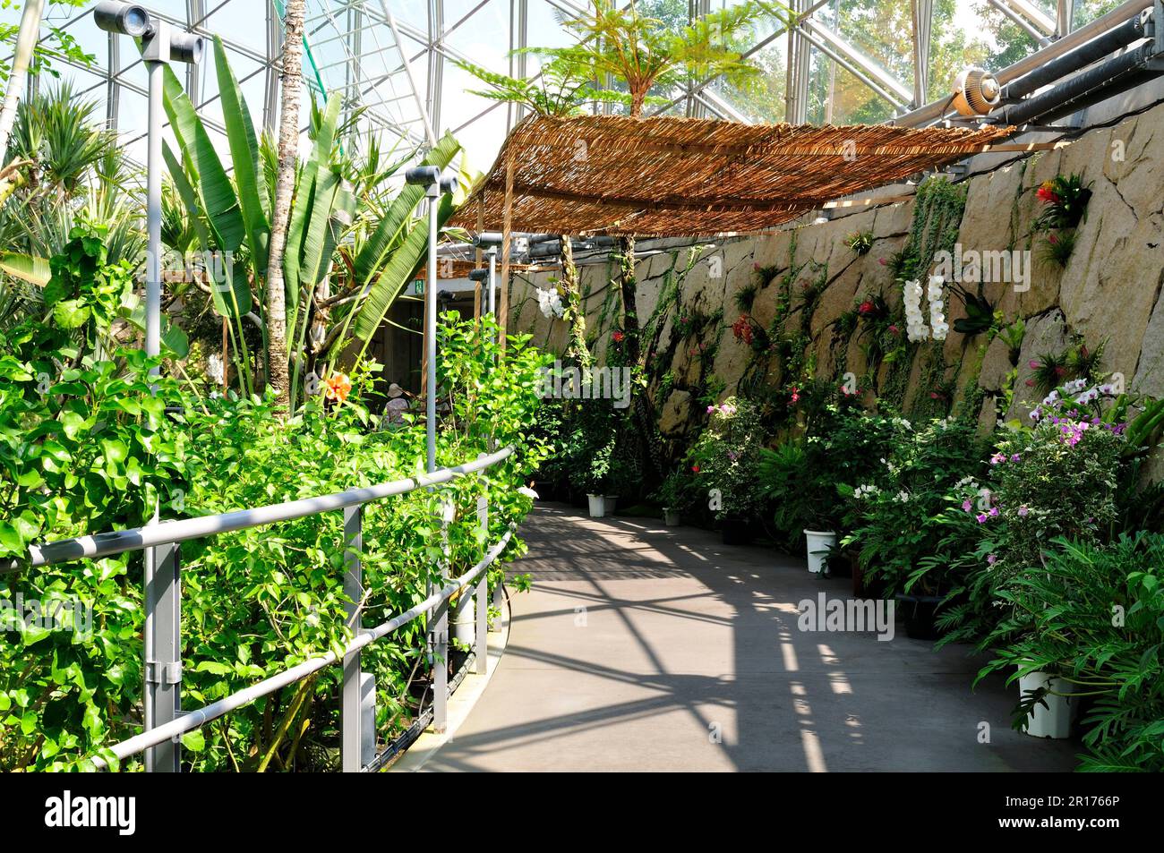 Tottorihanakairou, houseplants inside Flower Dome Stock Photo - Alamy