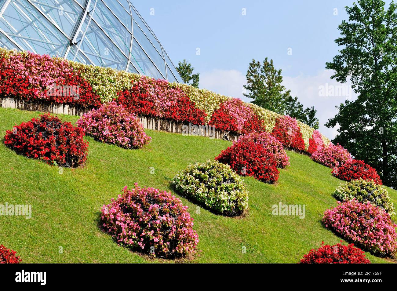 Tottori hanakairo flower park hi-res stock photography and images - Alamy