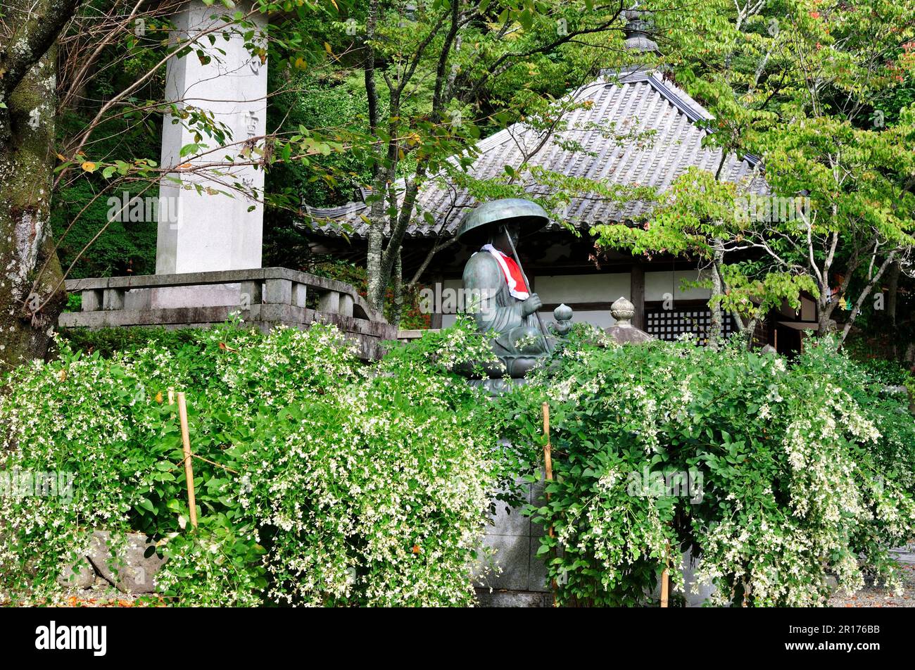 Precincts of Grand head temple Hase in fall, Nara Stock Photo - Alamy